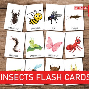35 Insects Flash Cards, Montessori Flash Cards, Educational Printable ...