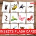 35 Insects Flash Cards, Montessori Flash Cards, Educational Printable ...