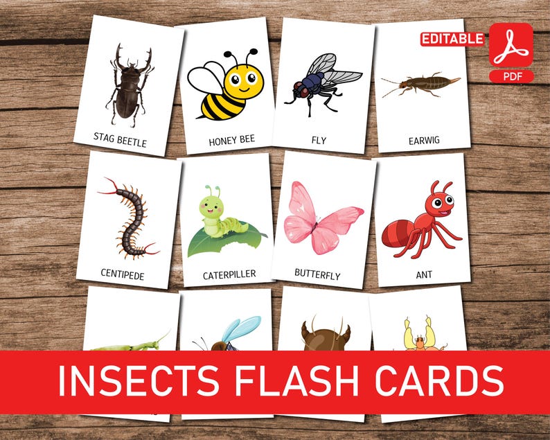 35 Insects Flash Cards, Montessori Flash Cards, Educational Printable ...