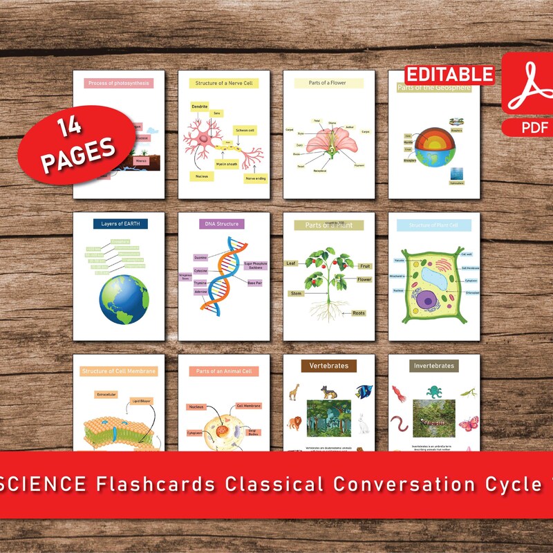 Classical Conversations - Etsy