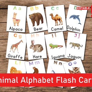 Animal Alphabet Flash Cards, Classroom Decor, Toddlers Preschool Early ...