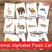 Animal Alphabet Flash Cards, Classroom Decor, Toddlers Preschool Early ...