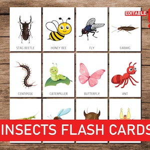 35 Insects Flash Cards, Montessori Flash Cards, Educational Printable ...