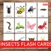 35 Insects Flash Cards, Montessori Flash Cards, Educational Printable ...