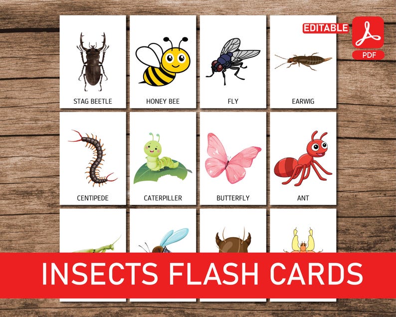35 Insects Flash Cards, Montessori Flash Cards, Educational Printable ...