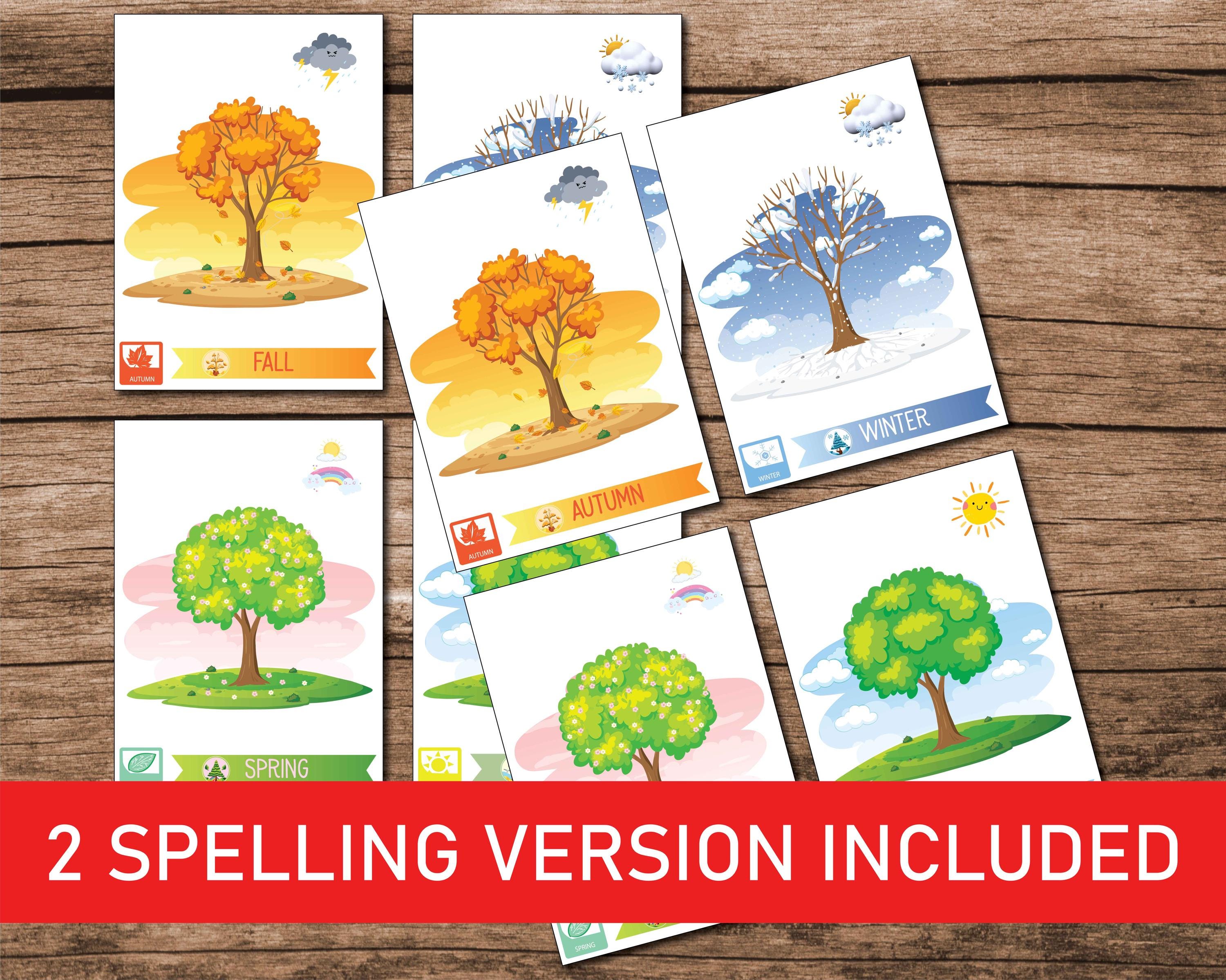 4 Seasons Flash Cards, Seasons Chart, Educational Flash Cards ...