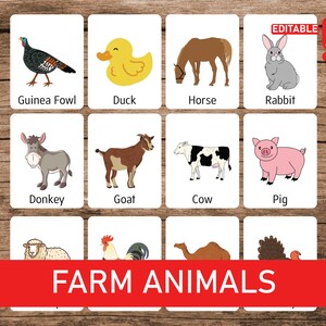 FARM ANIMALS, Flash Cards Nomenclature Flashcards PDF Printable Cards ...