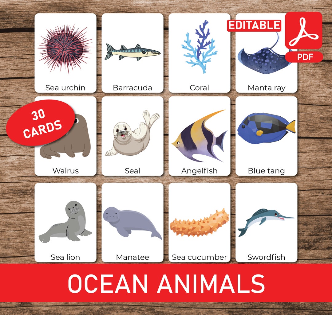 OCEAN ANIMALS, 30 Montessori Cards, Preschool, Nomenclature Flashcards ...