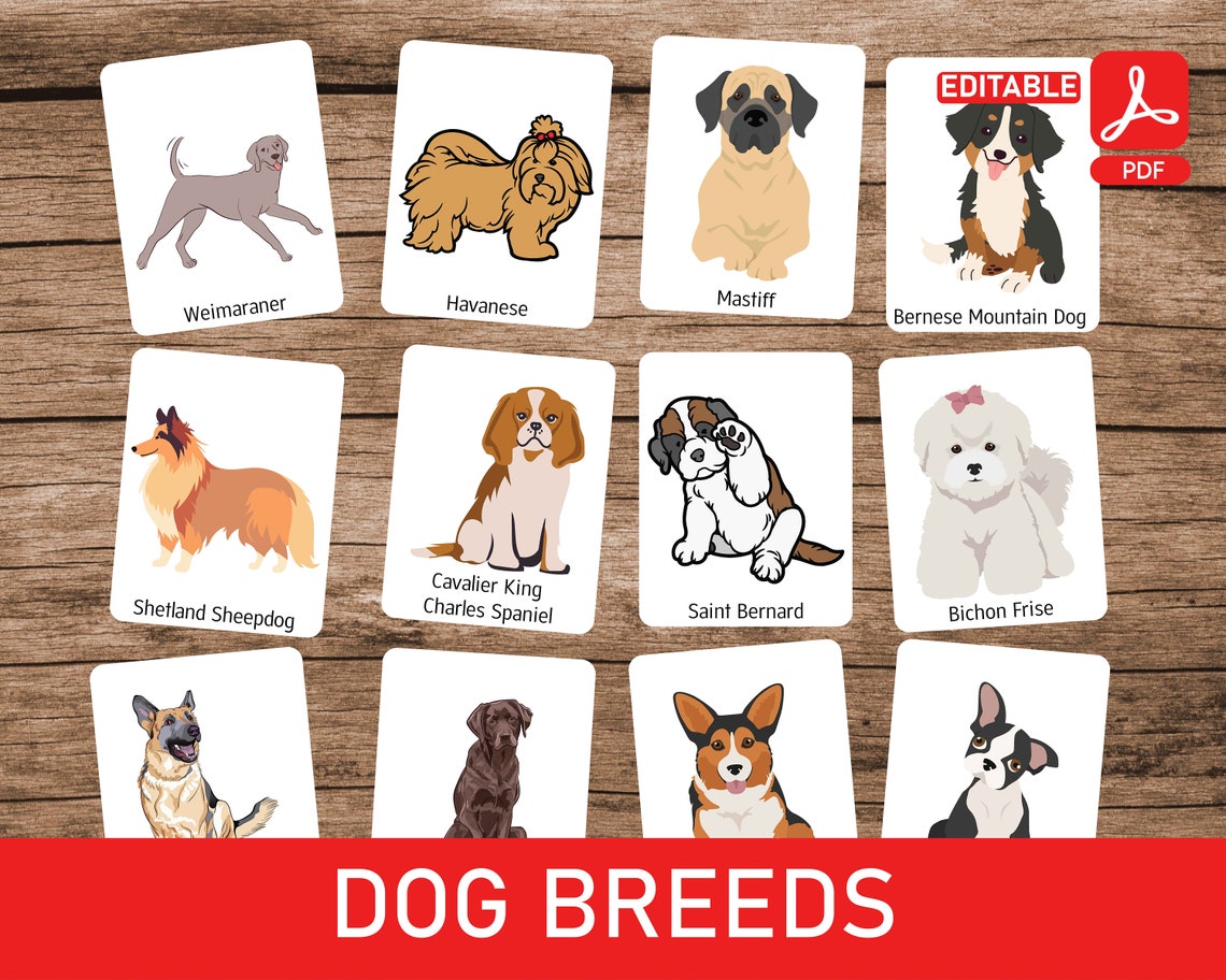 Printable PDF, Flash Cards, to Teach Kids to Learn 30 Different Dog ...