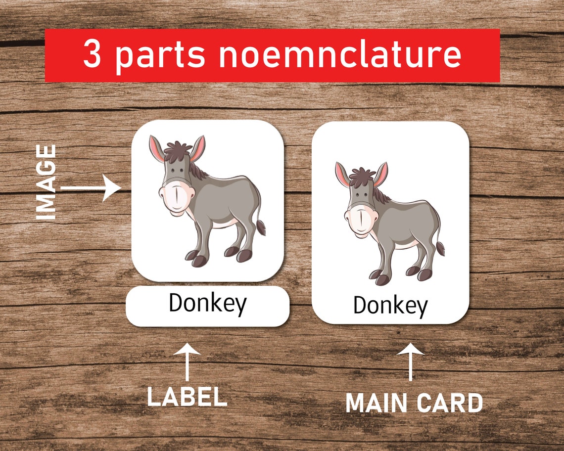 FARM ANIMALS, Flash Cards Nomenclature Flashcards PDF Printable Cards ...