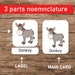 FARM ANIMALS, Flash Cards Nomenclature Flashcards PDF Printable Cards ...