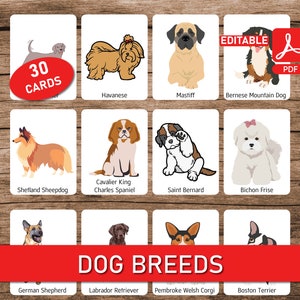 Printable PDF, Flash Cards, to Teach Kids to Learn 30 Different Dog ...