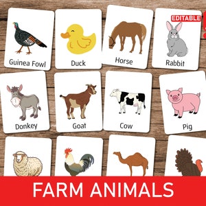 FARM ANIMALS, Flash Cards Nomenclature Flashcards PDF Printable Cards ...