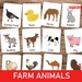 FARM ANIMALS, Flash Cards Nomenclature Flashcards PDF Printable Cards ...