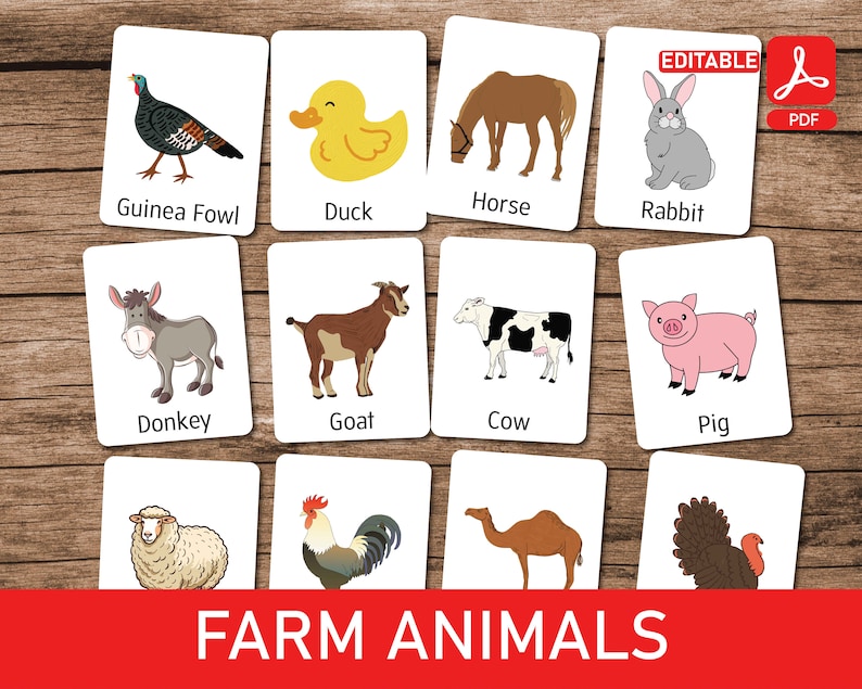 FARM ANIMALS, Flash Cards Nomenclature Flashcards PDF Printable Cards ...