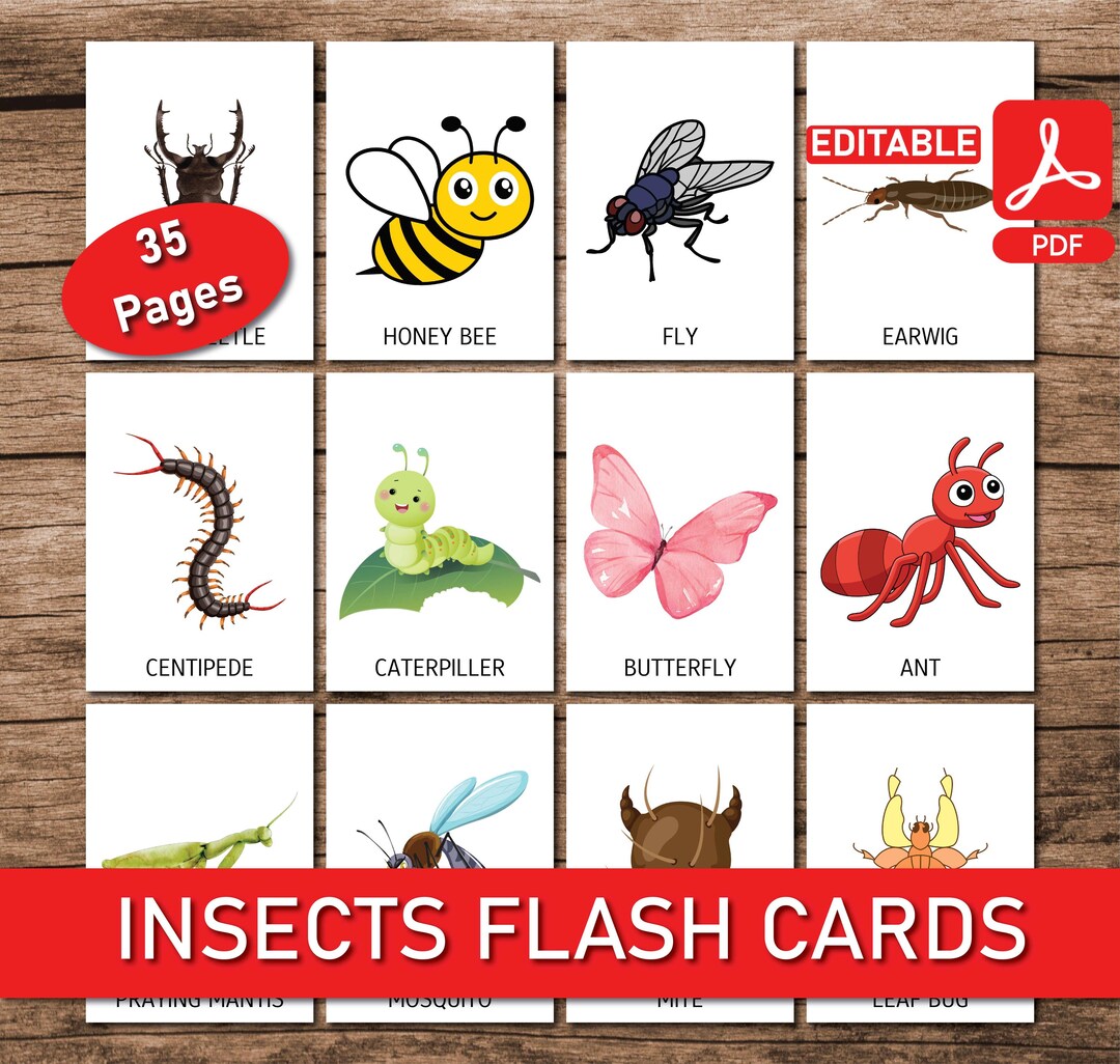 35 Insects Flash Cards, Montessori Flash Cards, Educational Printable ...