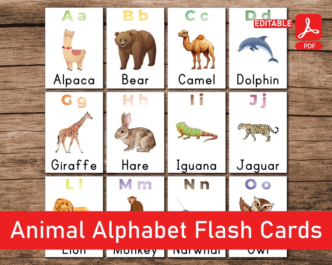 Animal Alphabet Flash Cards, Classroom Decor, Toddlers Preschool Early ...