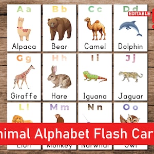 Animal Alphabet Flash Cards, Classroom Decor, Toddlers Preschool Early ...