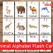 Animal Alphabet Flash Cards, Classroom Decor, Toddlers Preschool Early ...