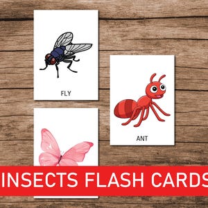 35 Insects Flash Cards, Montessori Flash Cards, Educational Printable ...