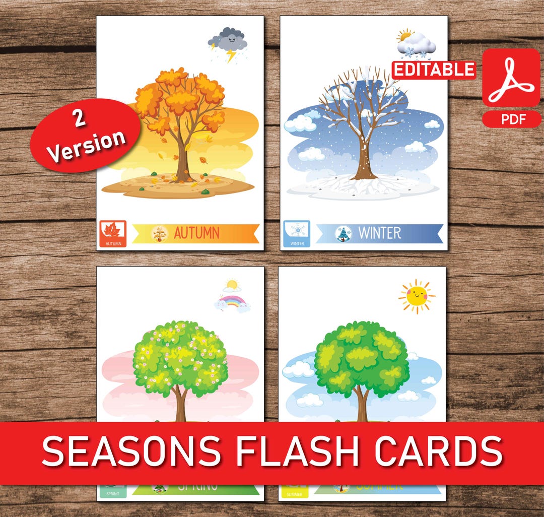 4 Seasons Flash Cards, Seasons Chart, Educational Flash Cards ...