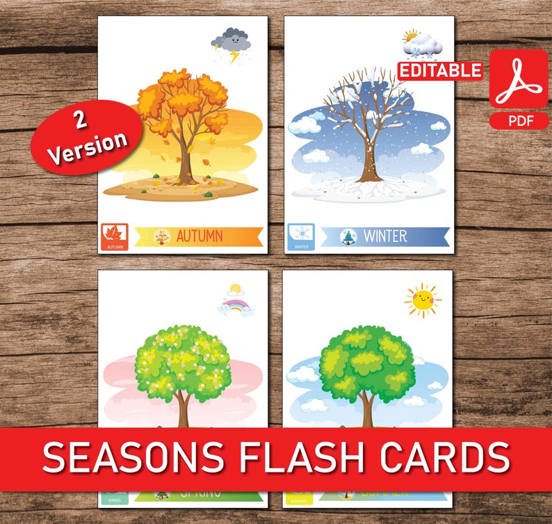 4 Seasons Flash Cards, Seasons Chart, Educational Flash Cards ...