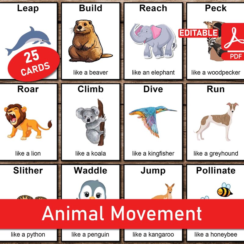 Animal Action Cards - Etsy