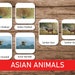 ASIA ANIMALS, 35 Editable Montessori Cards, Kindergarten Flash Cards ...