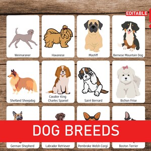Printable PDF, Flash Cards, to Teach Kids to Learn 30 Different Dog ...