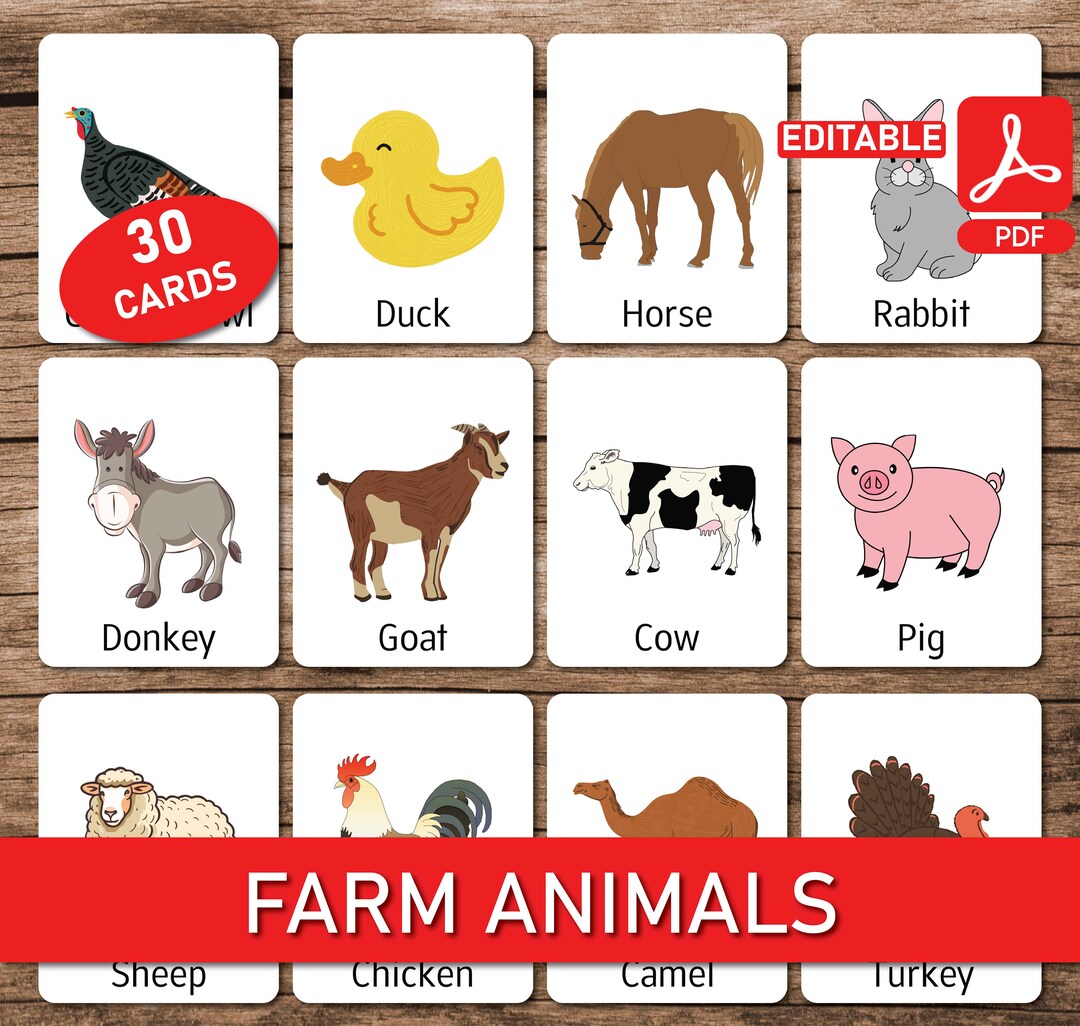 FARM ANIMALS, Flash Cards Nomenclature Flashcards PDF Printable Cards ...
