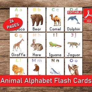 Animal Alphabet Flash Cards, Classroom Decor, Toddlers Preschool Early ...