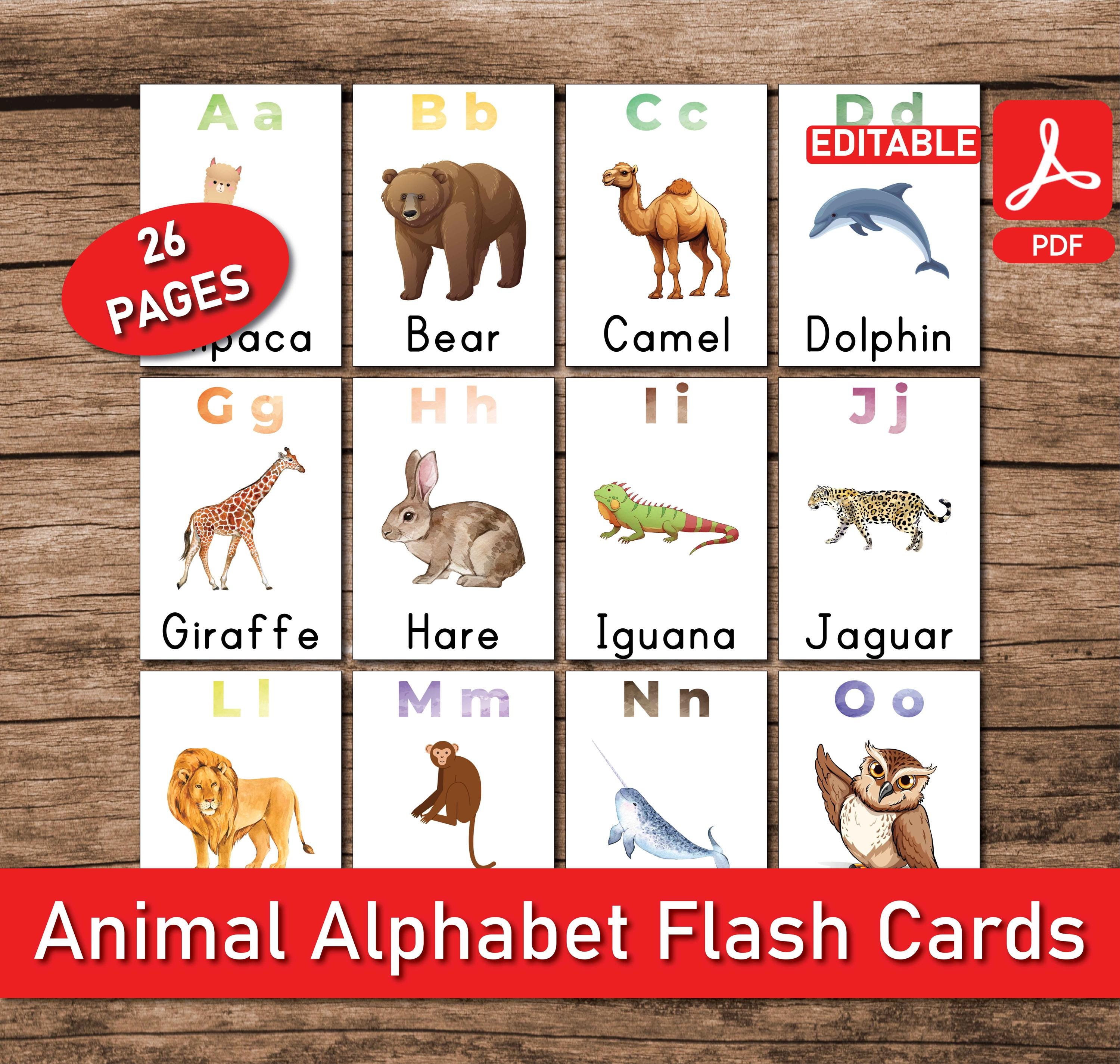 Animal Alphabet Flash Cards, Classroom Decor, Toddlers Preschool Early ...