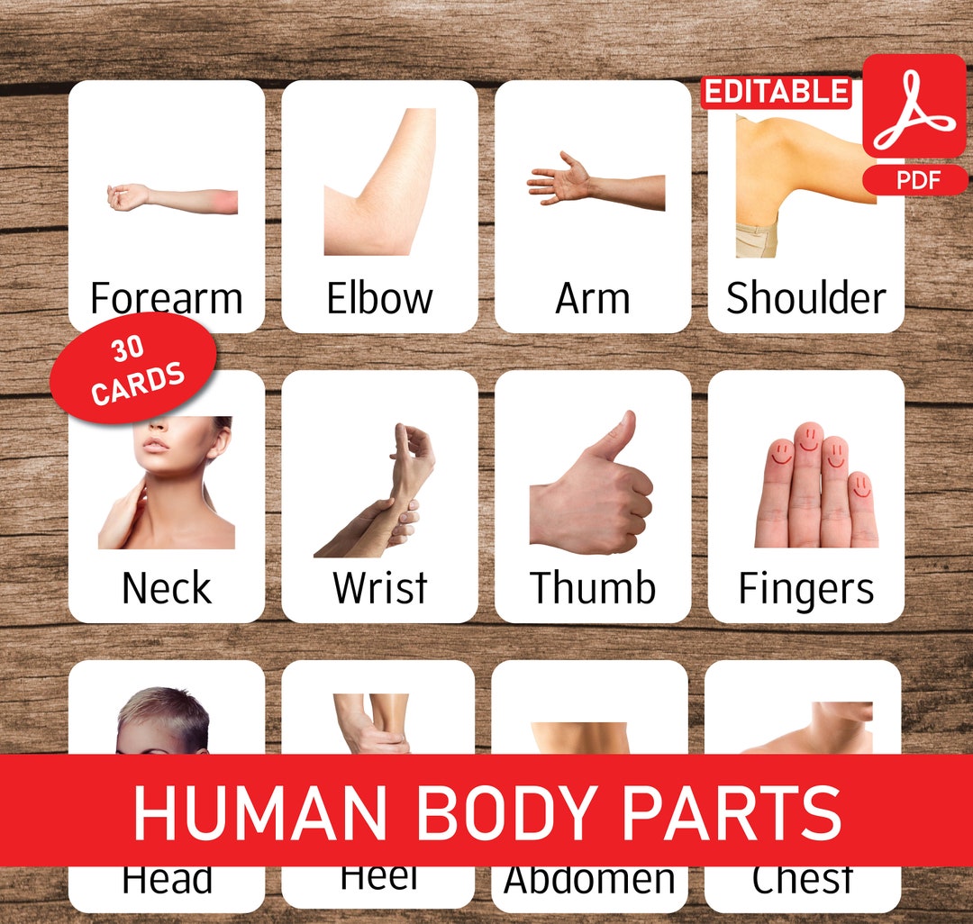 BODY PARTS real Pictures, 30 Montessori Cards, Editable PDF Printable ...