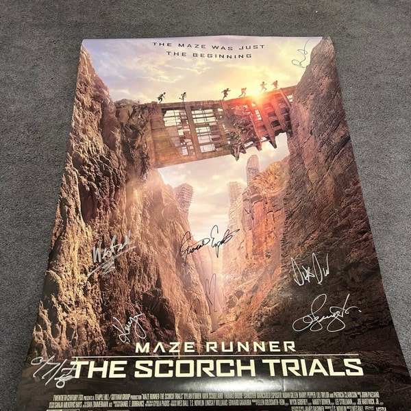 Maze Runner - Etsy