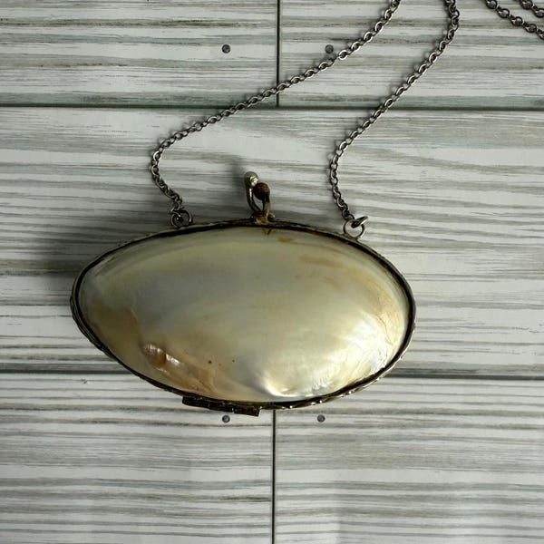 Shell Coin Purse - Etsy