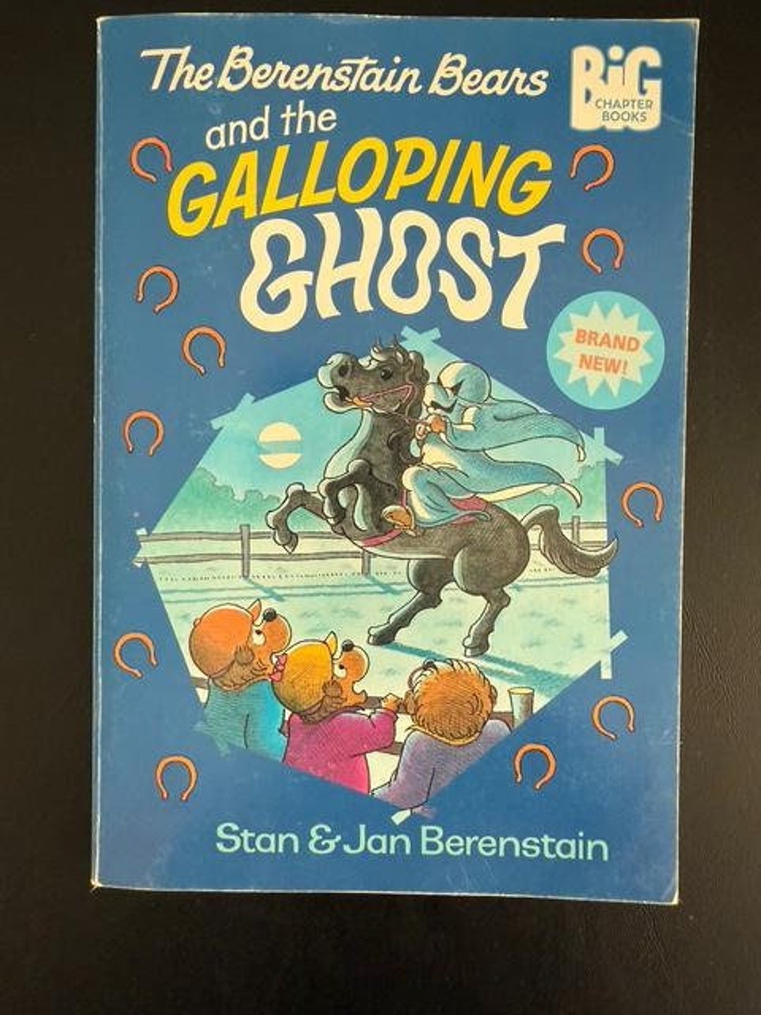 The Berenstain Bears and the Galloping Ghost Classic Children's Book ...