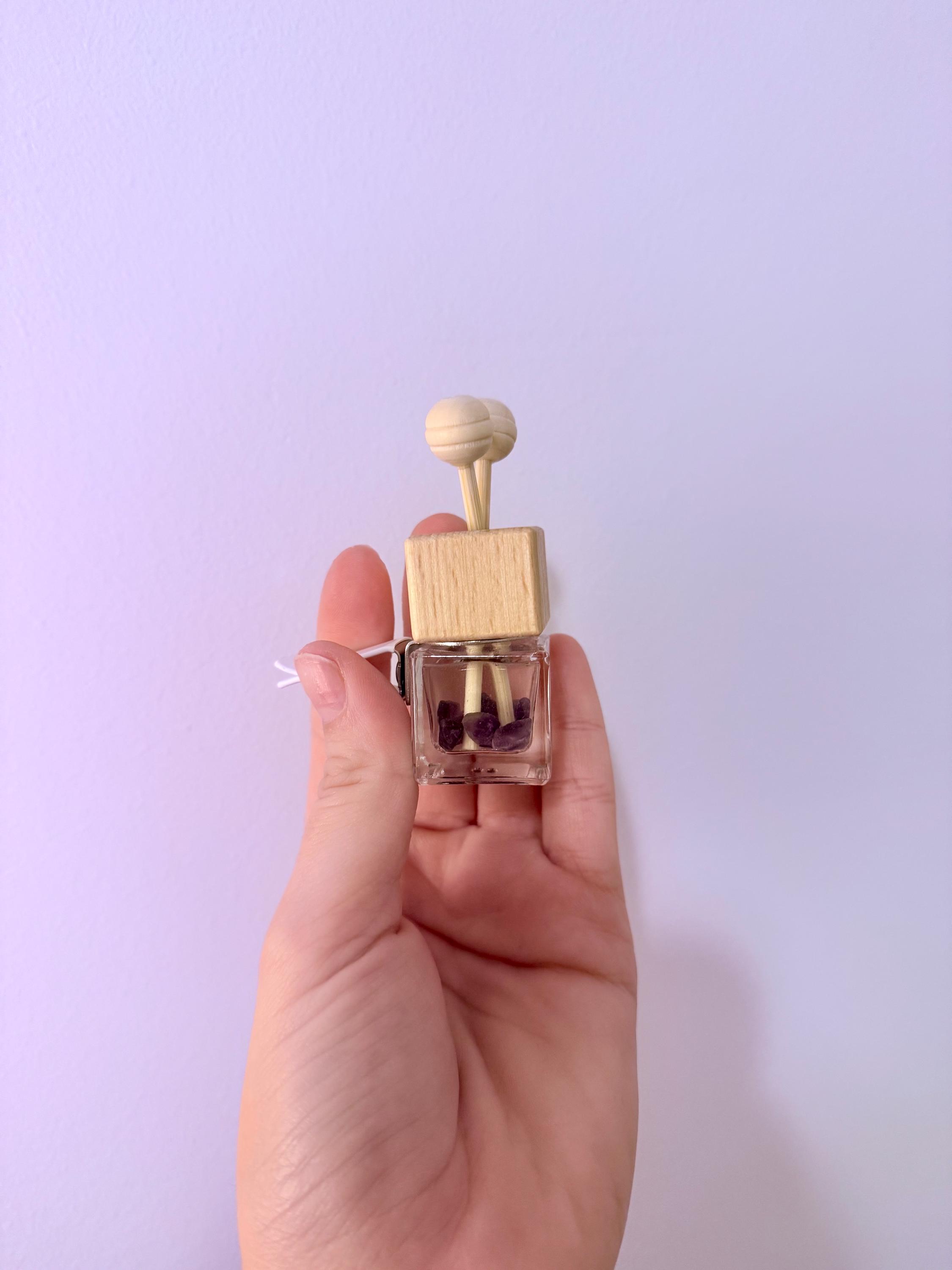 Car Essential Oil Reed Diffuser Vent Clip - Etsy