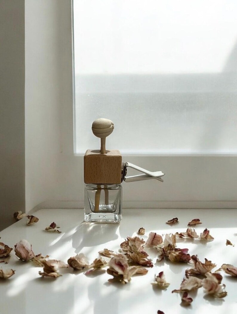 Car Essential Oil Reed Diffuser Vent Clip - Etsy