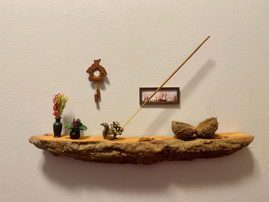 Cottonwood Bark Floating Shelf - Etsy