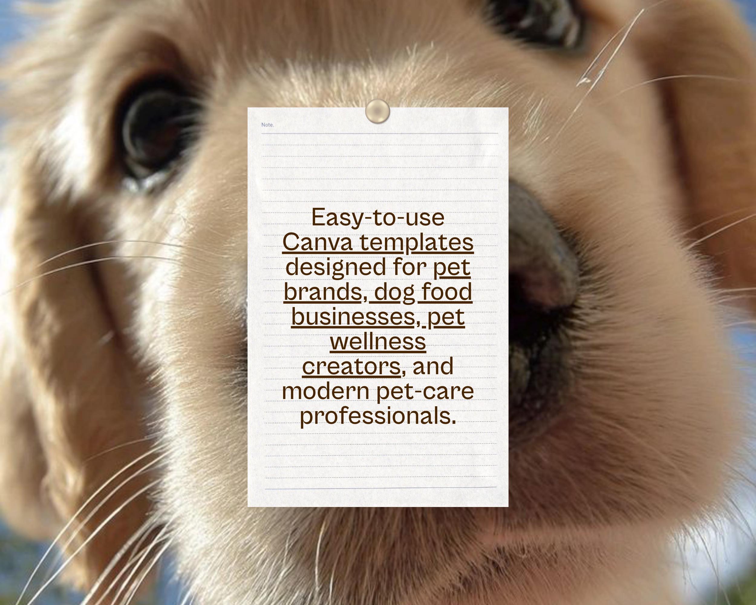 Dog Instagram Templates | Canva Editable Posts for Pet Food Businesses ...
