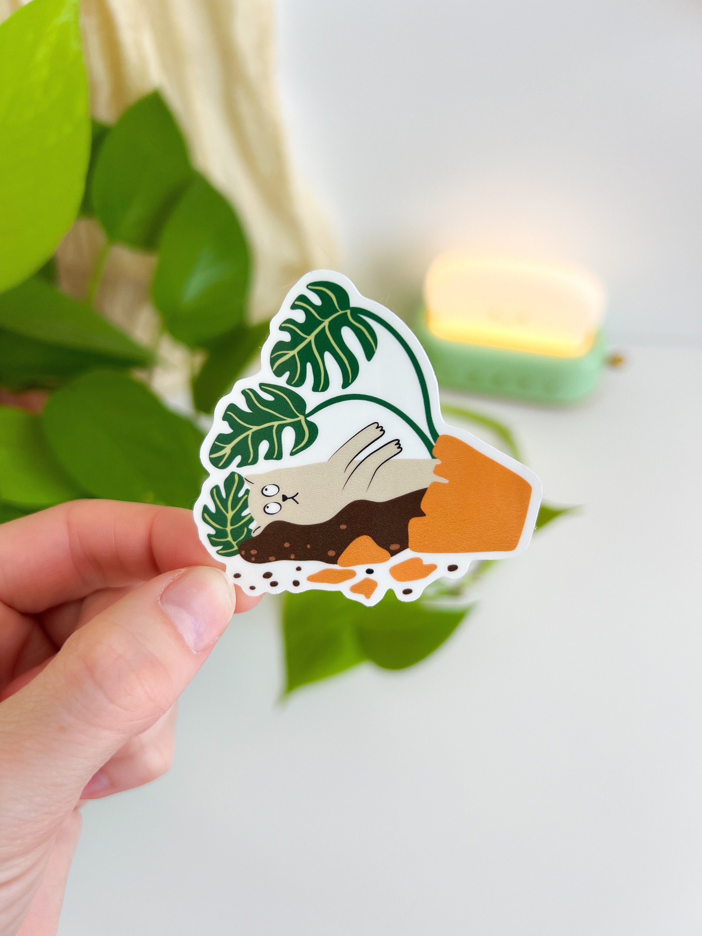 Funny Cat in Plant Sticker for Laptop, Stickers for Kindle, for Water ...