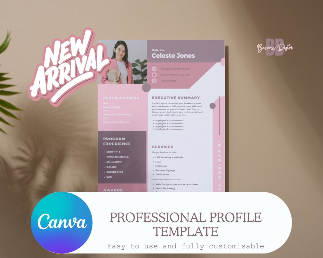 Professional Profile Template CANVA Fully Customisable Virtual Assistant Freelance Remote Worker ...