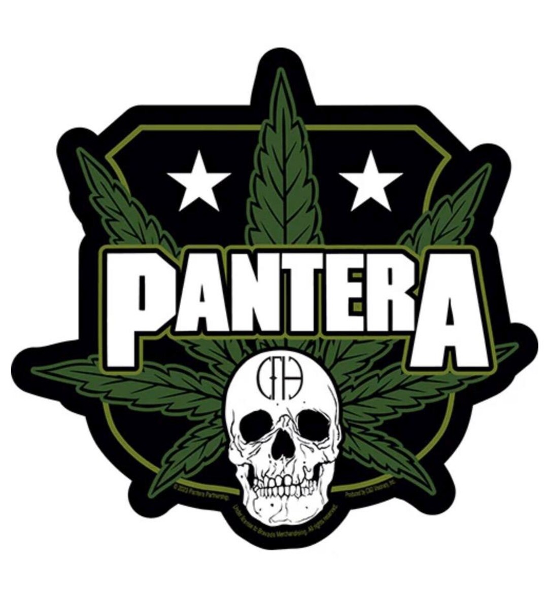 Pantera Skull Sticker P016S Decal - Etsy