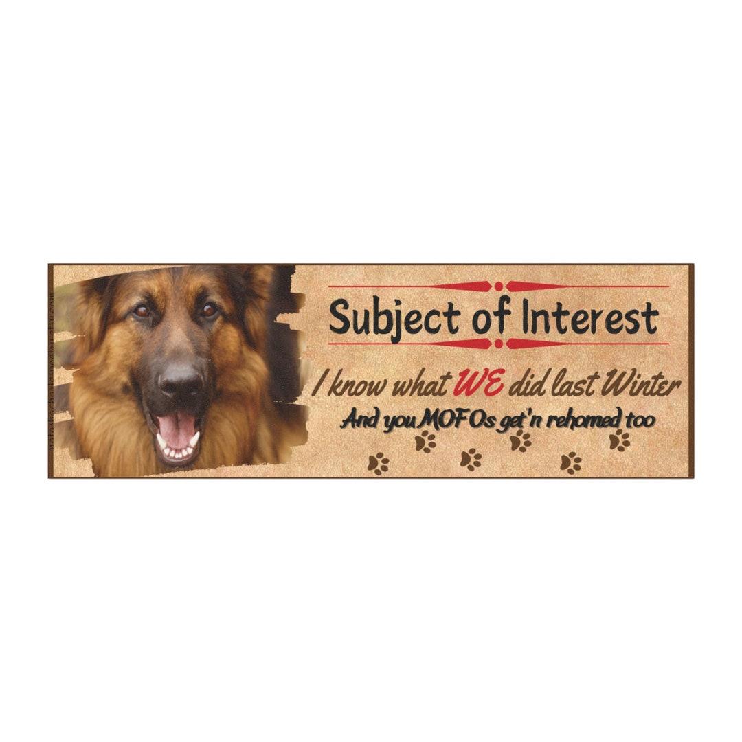 Rehomed Car Magnet 10 X 3 True Crime Drama: MA V Karen Read - Etsy