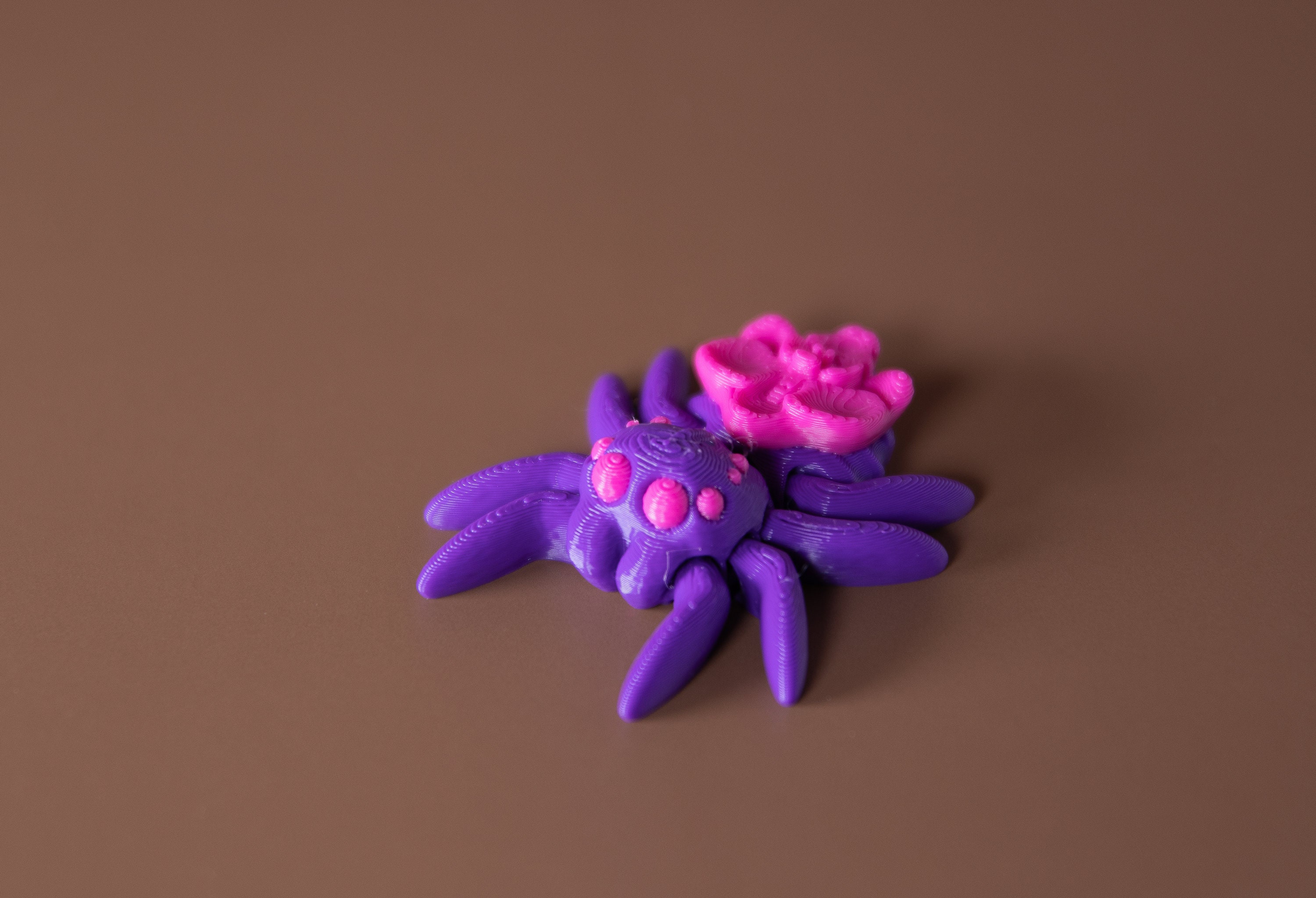 Unique Jumping Spider Desk Fidgets by Cinderwing3d Choose From Orchid ...