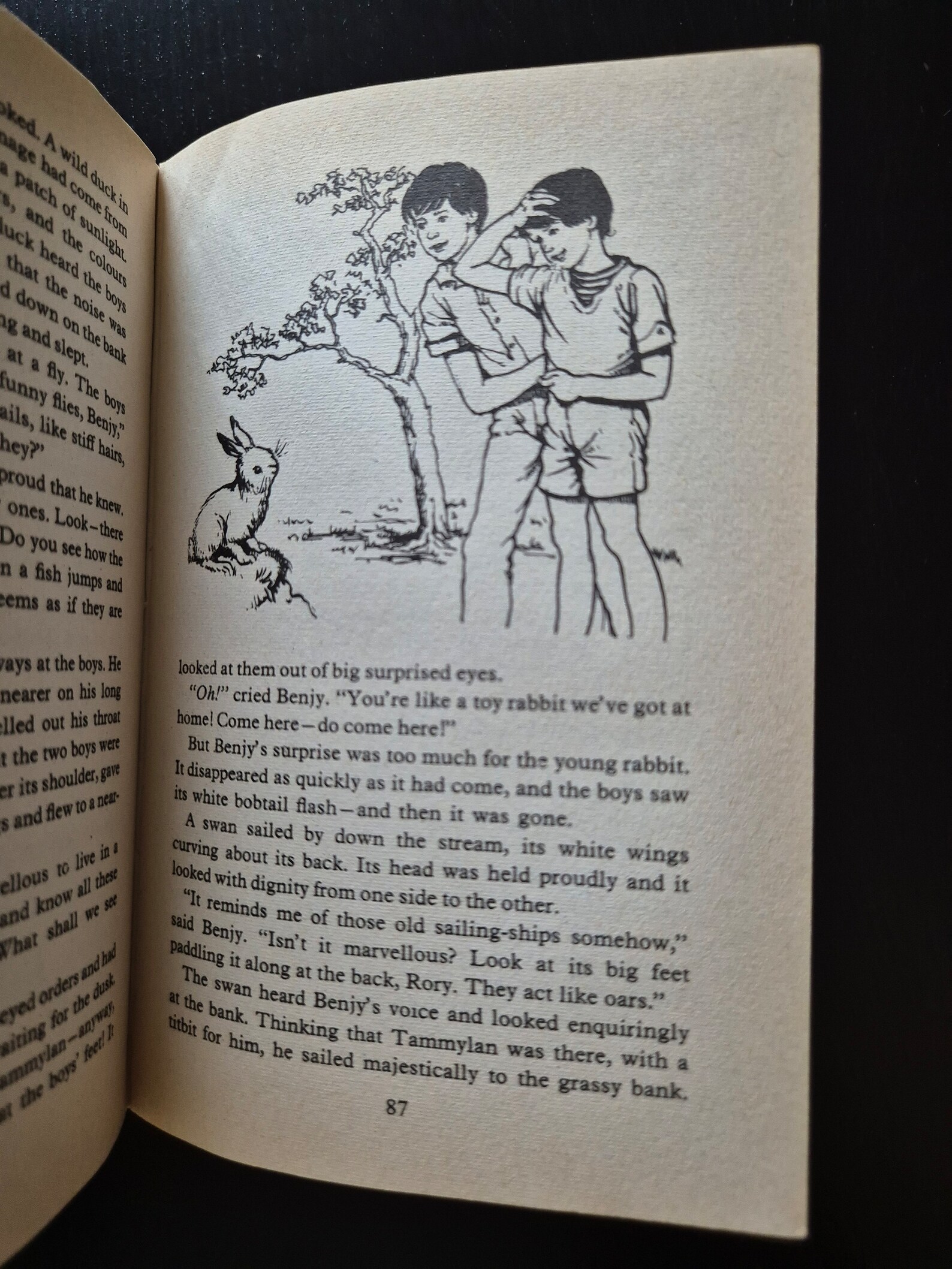 Enid Blyton's Children of Cherry Tree Farm (1972) Illustrated - Etsy