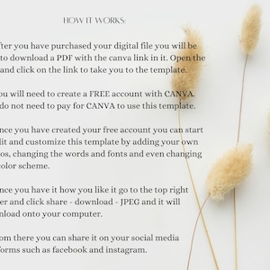 Family Minis Photo Template for Mini Session Template for Photographers ...