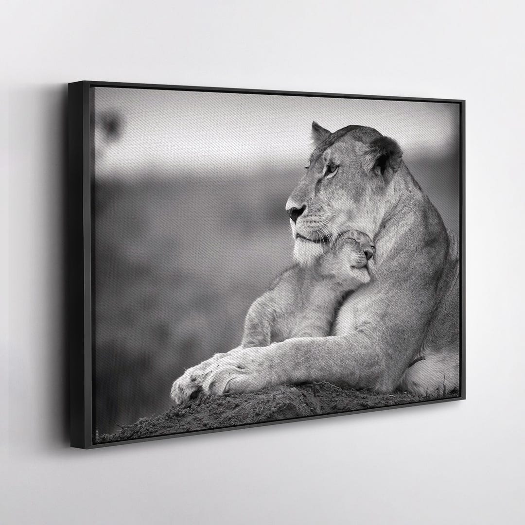 Lion and Cub Cuddling Poster – Heartwarming Canvas Wall Art – Animal ...