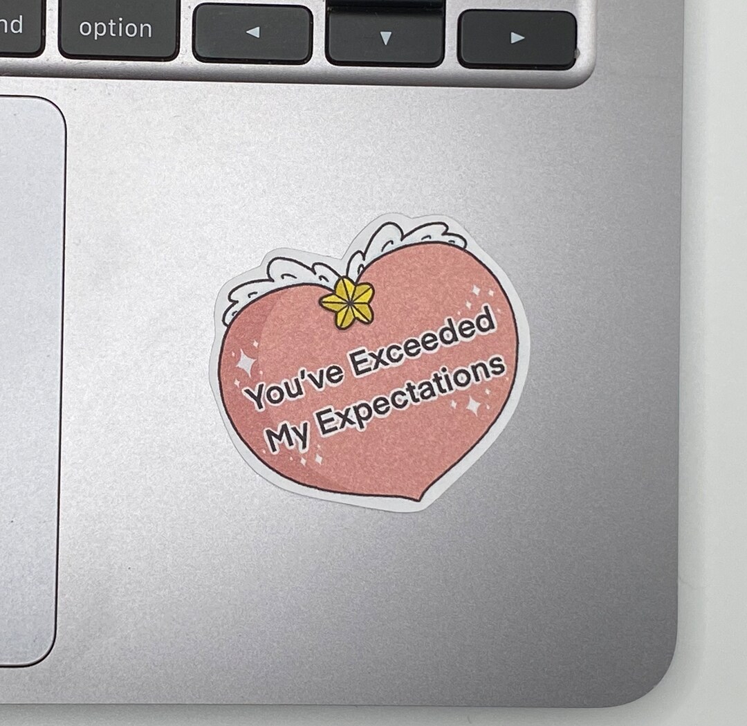 Exceeds Expectations Sticker - Etsy