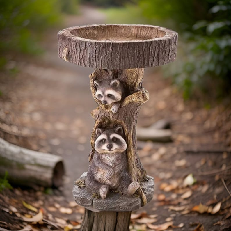 Charming Retro Raccoon Bird Bath Feeder Polynesian Yard Ornament - Etsy